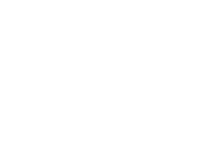 Heath Ridge Rhodesian Ridgebacks, lovingly nurtured in Kent - Heath ...